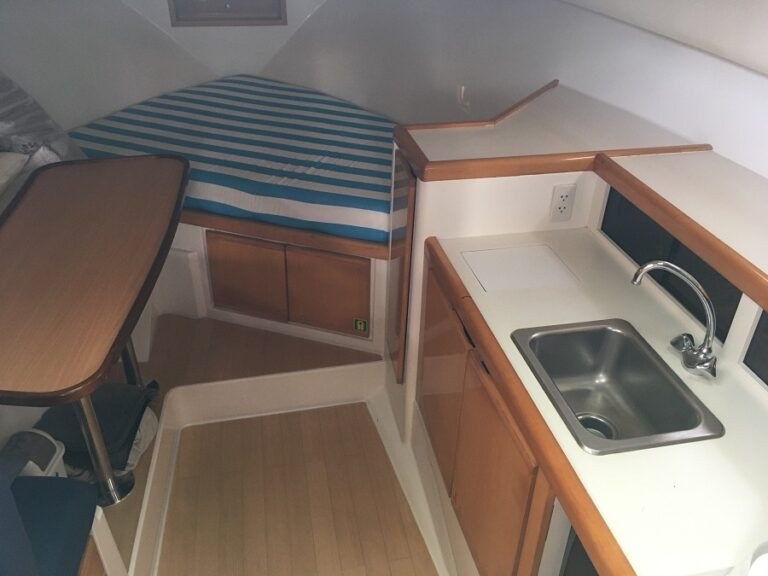 BERTRAM MOPPIE 31 feet- 2 engines 840 HP - Henri Captain