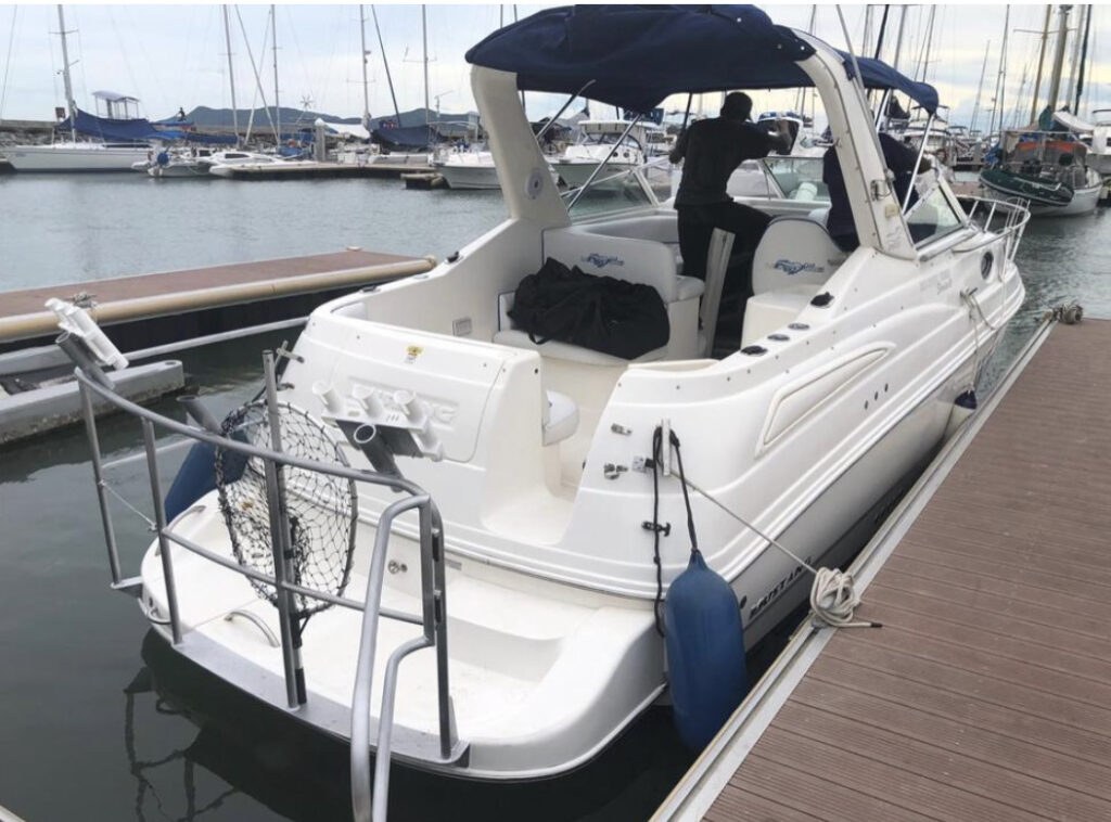 YACHT MUSTANG 28 Feet- NEW ENGINE 260 HP - Henri Captain