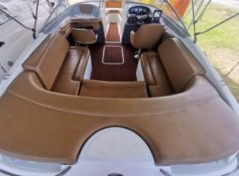 BOAT BAYLINER CAPRI 29 FEET- 10 Passengers-2 X 250 hp - Henri Captain